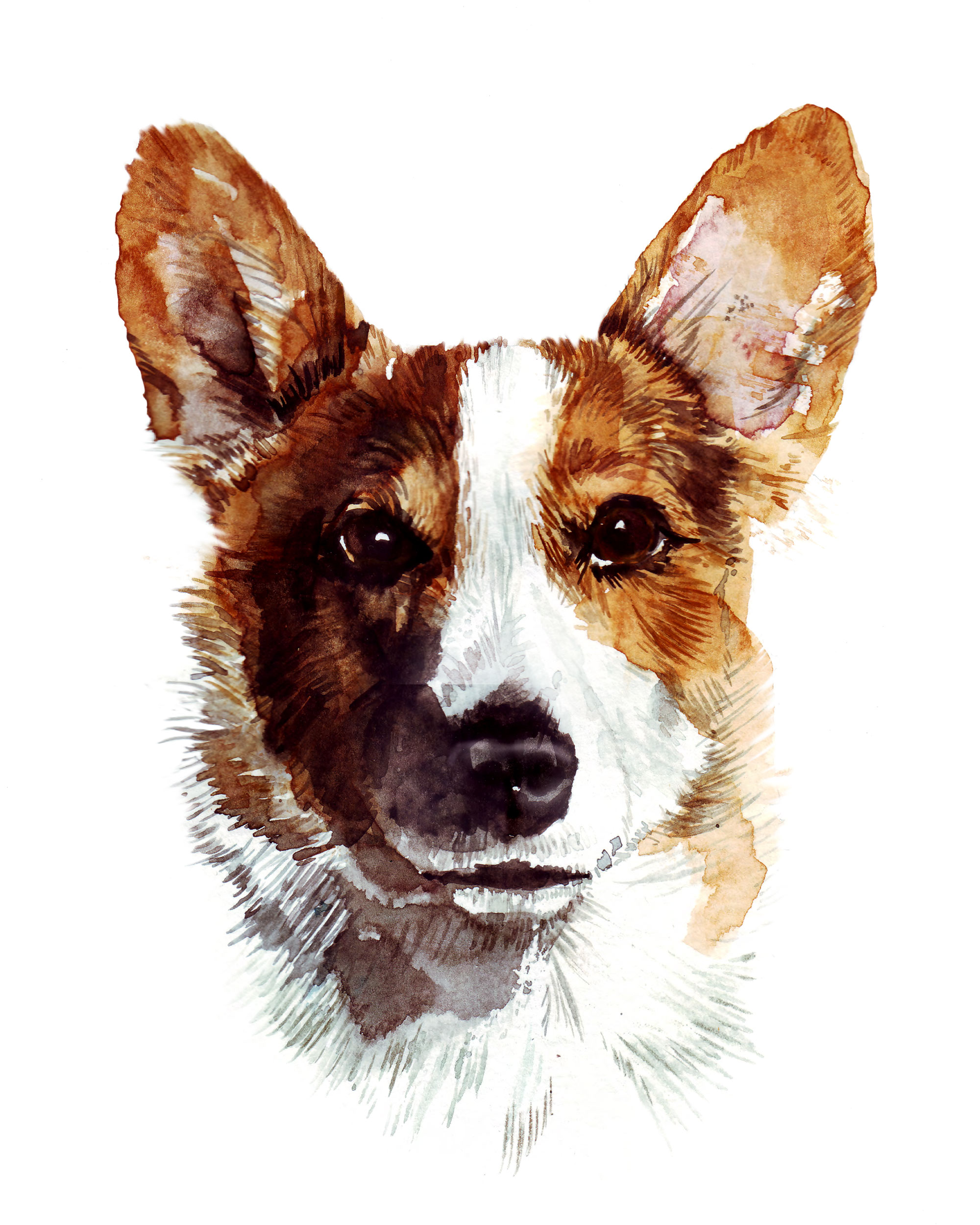 Dog Days Painting Series – Made by Marion